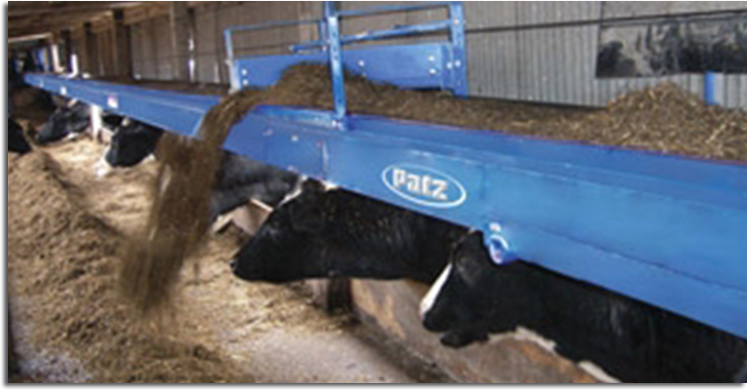 Cattle Feed Conveyors